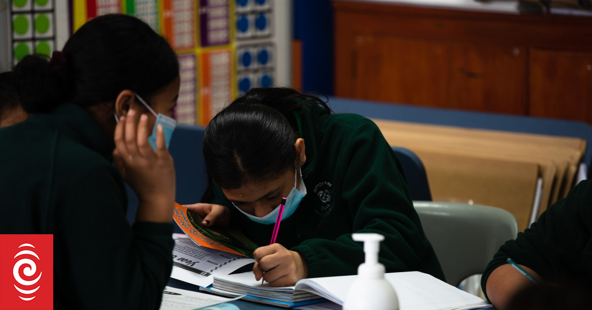 School attendance rates rising as Covid-19 cases drop off, principals ...