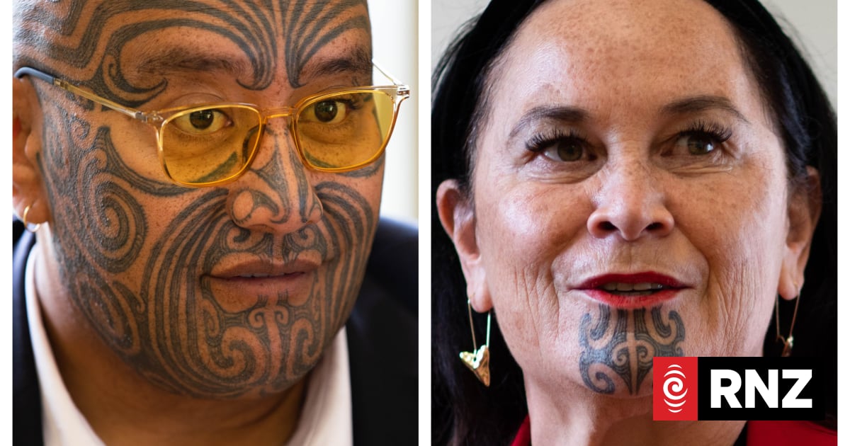 Te Pāti Māori committed to holding other parties to account on a 'Te ...