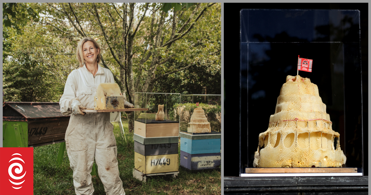 The artist and beekeeper who made a real-life Beehive | RNZ