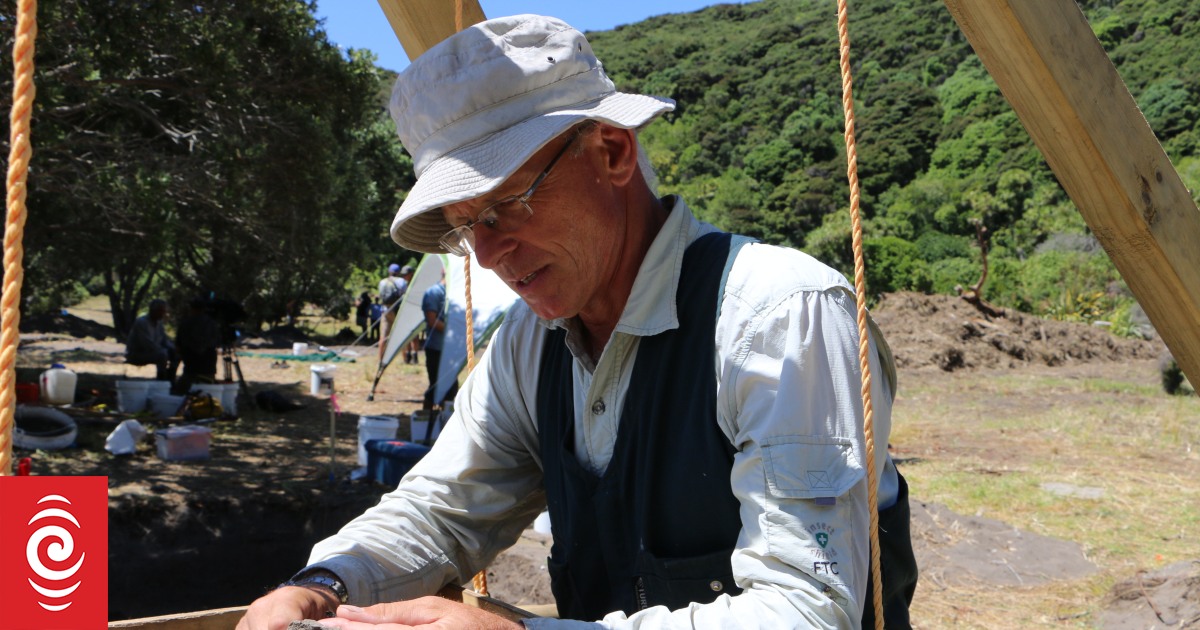 Moturua Island archaeological dig unearths tools, structures | RNZ News