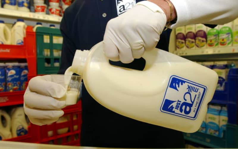 a2 Milk drops profit forecast due to supply chain disruptions | RNZ