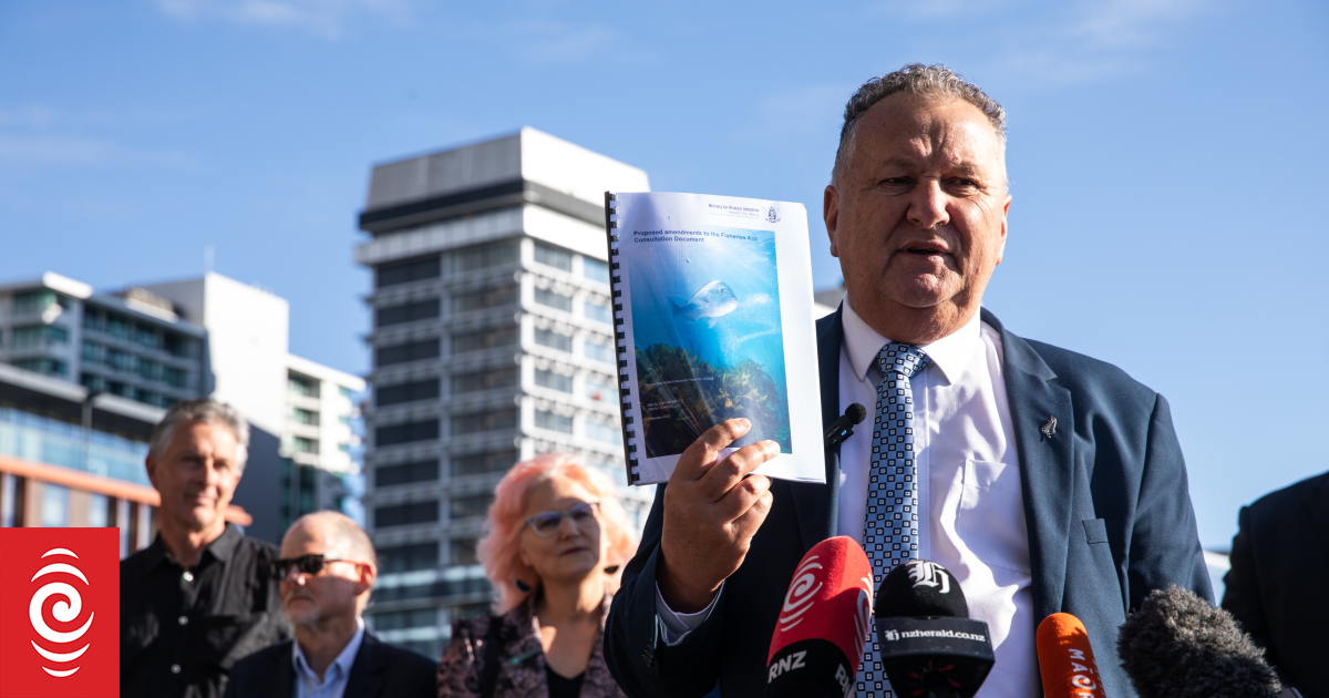 Major shake-up of fishing quota system on the way | RNZ News