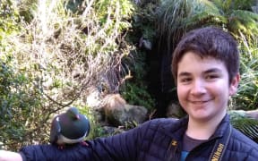 Rare native skink colony discovered by nine-year-old | RNZ News