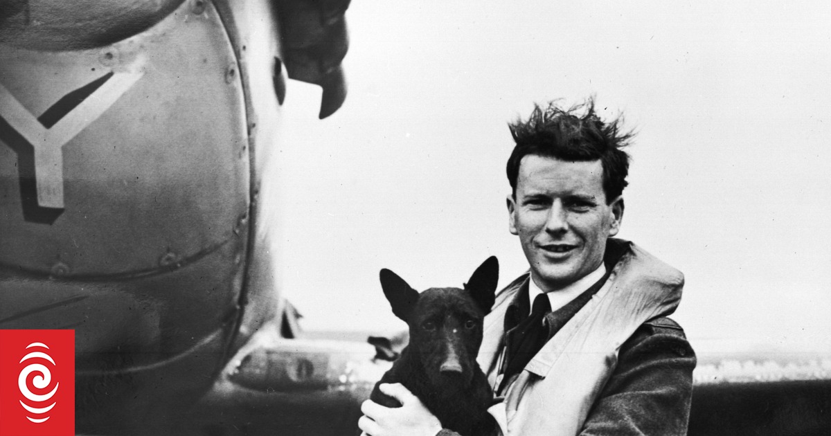 'Masters of the Air' link to local flying hero | RNZ