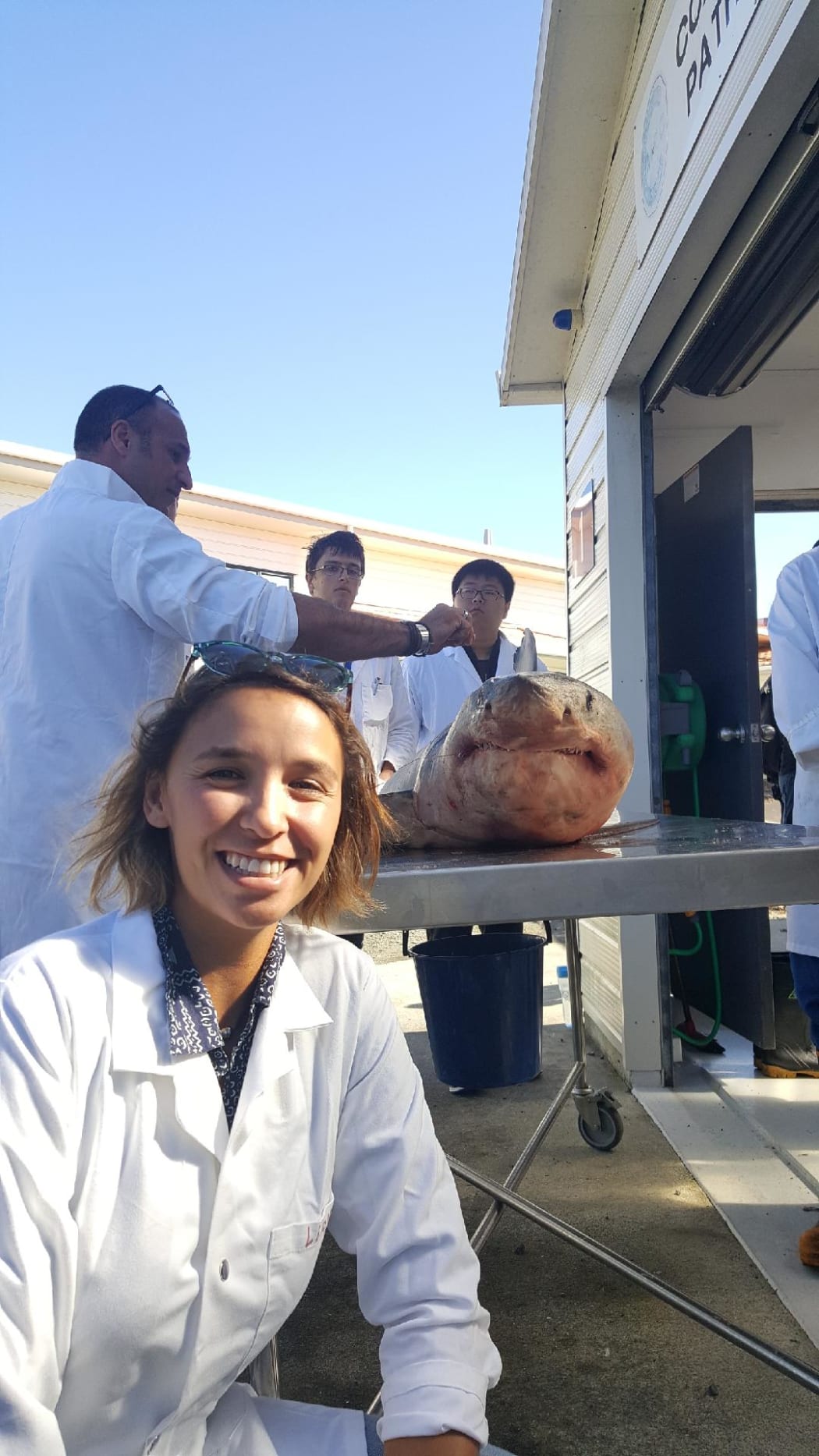 Researching the fish in the deepest parts of the sea | RNZ