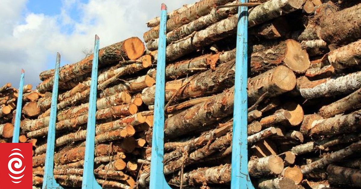 Fatal forestry accident 'tragedy' | RNZ News