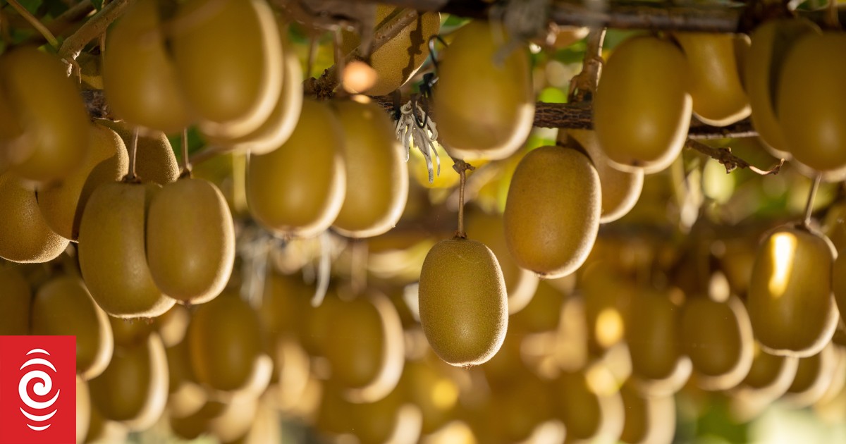 Hydrogen cyanamide 'safe to use' but growers face new rules - EPA | RNZ ...