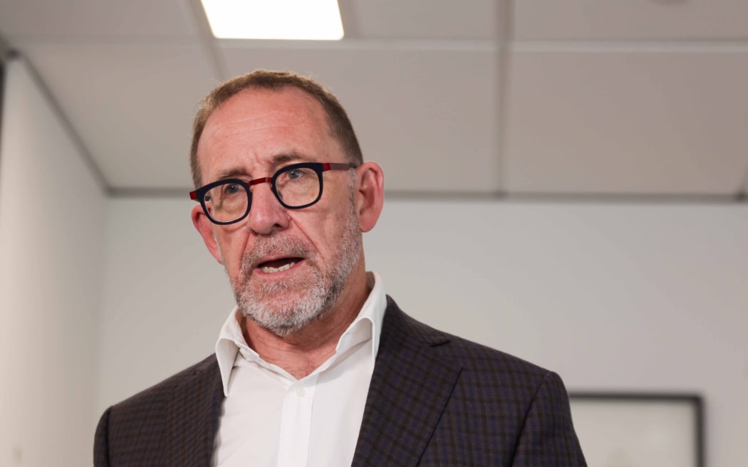 Andrew Little tells review panel it's not their role to look at Golden ...