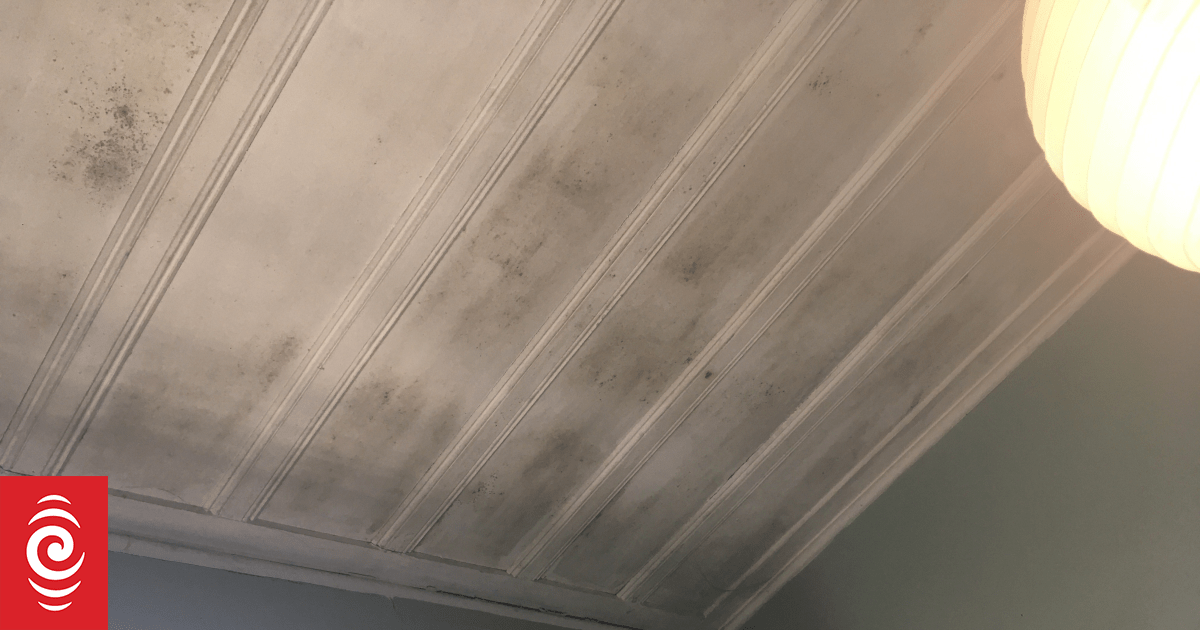 Auckland renters struggling with mouldy, damp homes and no sense of ...