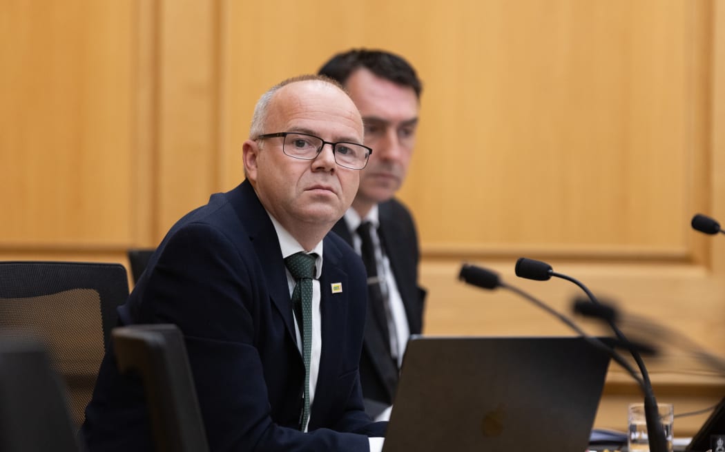 NZ First 'extremely disappointed' by coward punch law 'window dressing ...