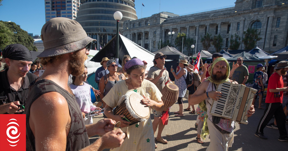 Wellington iwi acknowledge depth of protesters' feelings, but say ...