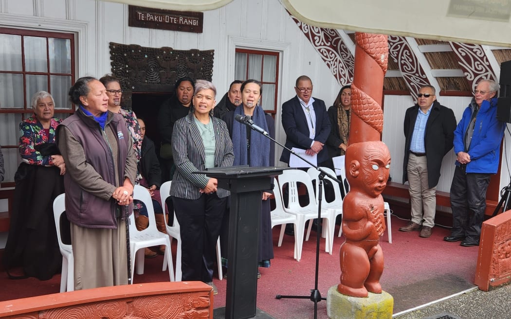 ‘This is a reform’: Te Awa Tupua strategy unveiled for the Whanganui ...