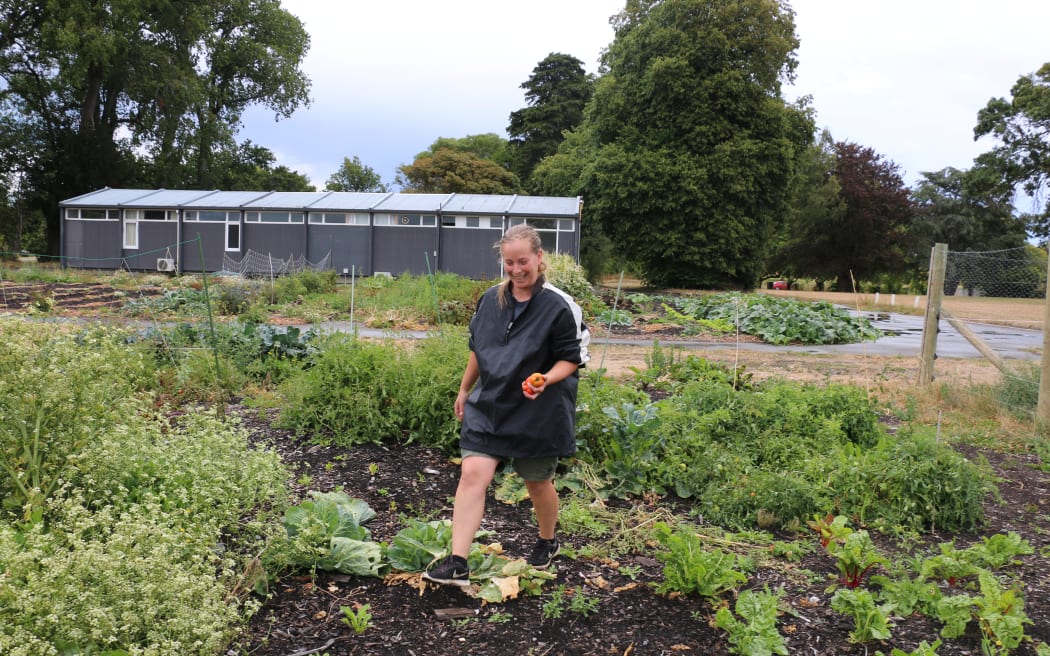 Green learning hub grows on red zone land | RNZ
