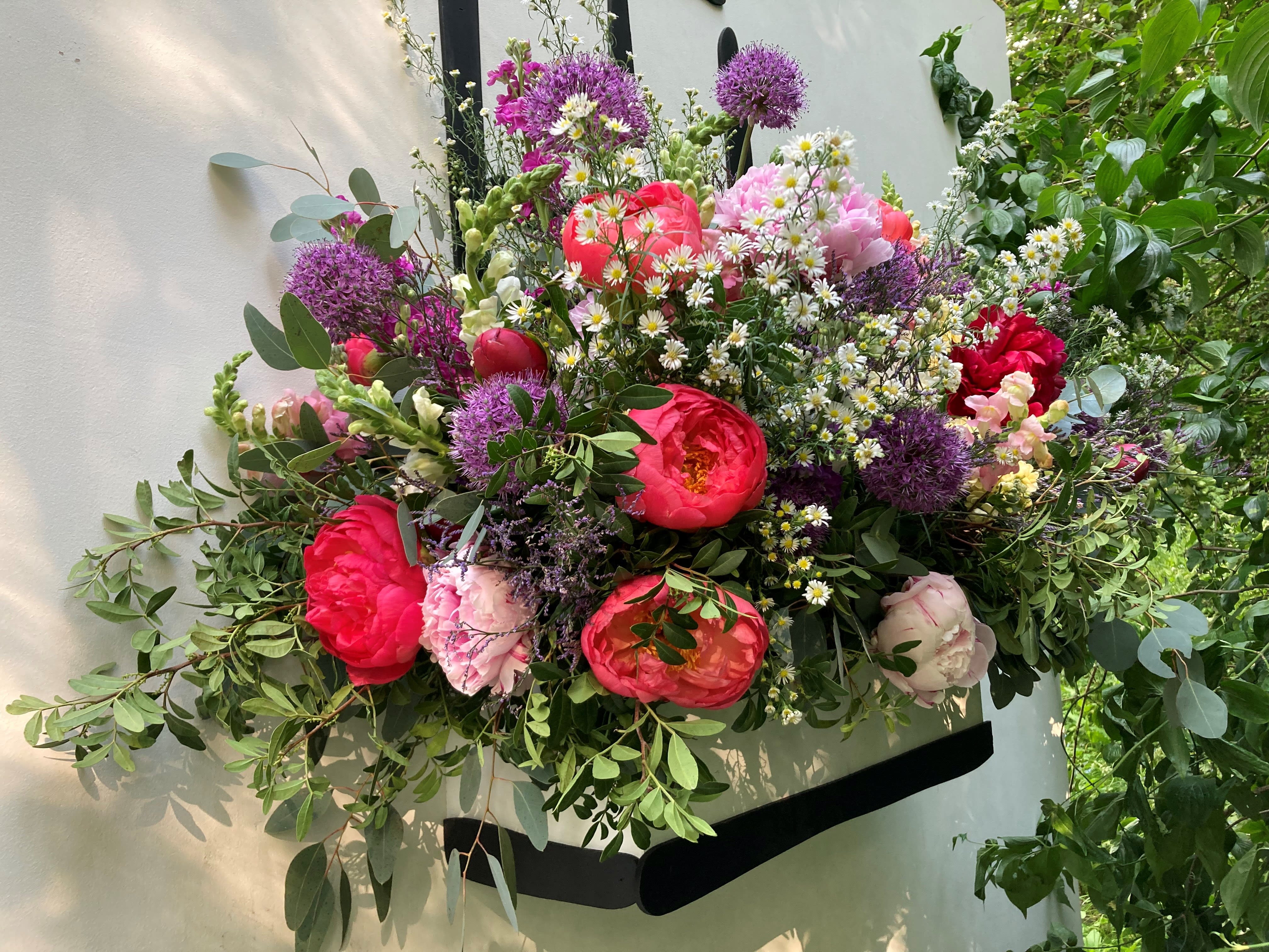 Blooming magic: Toby de Lacey - the Chelsea Flower Show | RNZ