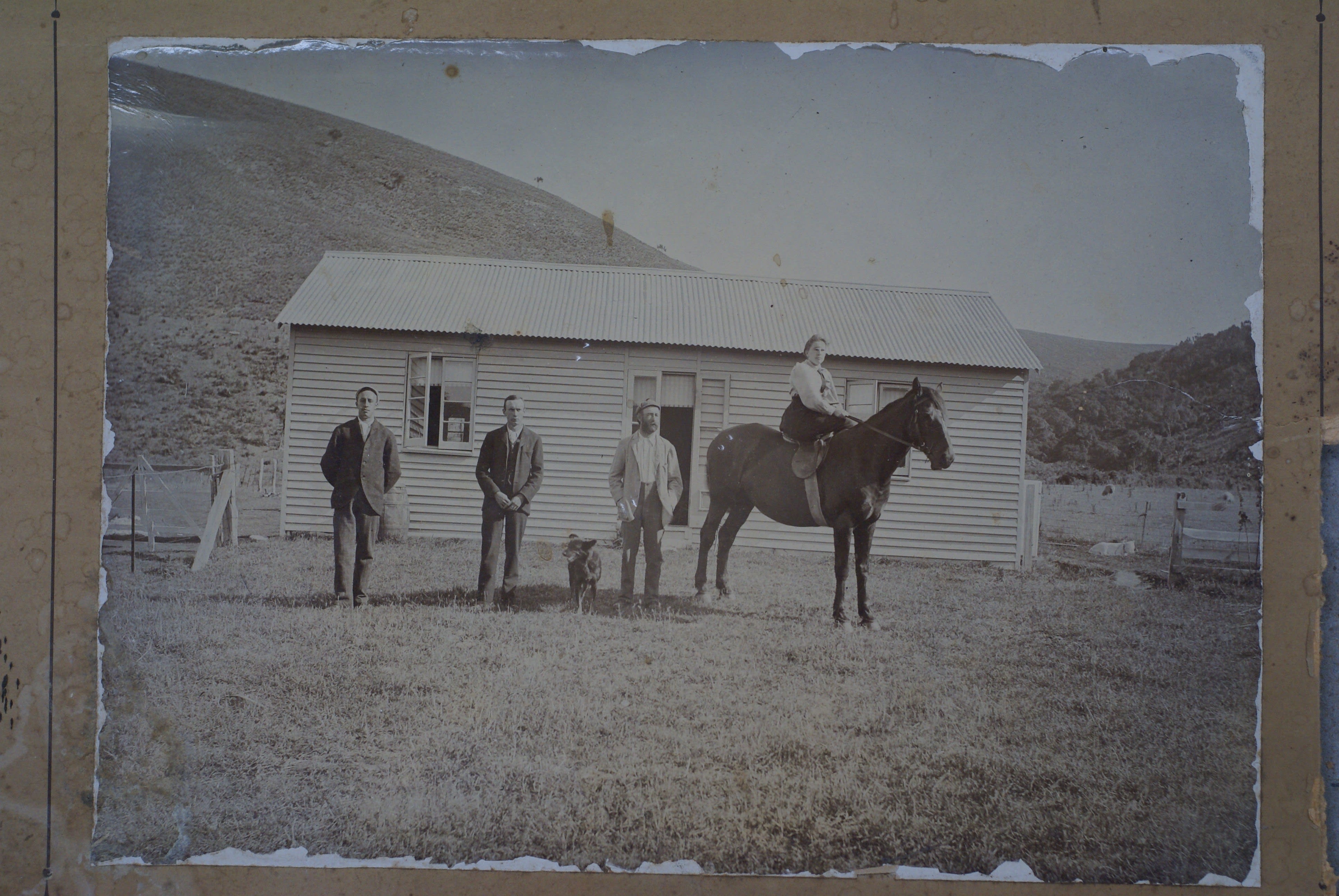 William Cottrell's chairs | A Gallery from Afternoons | RNZ National
