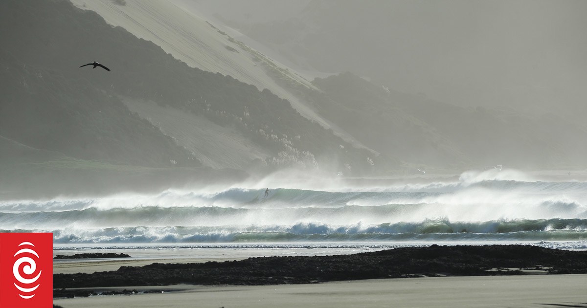 Ute hit fallen tree leading to deaths of two passengers | RNZ News