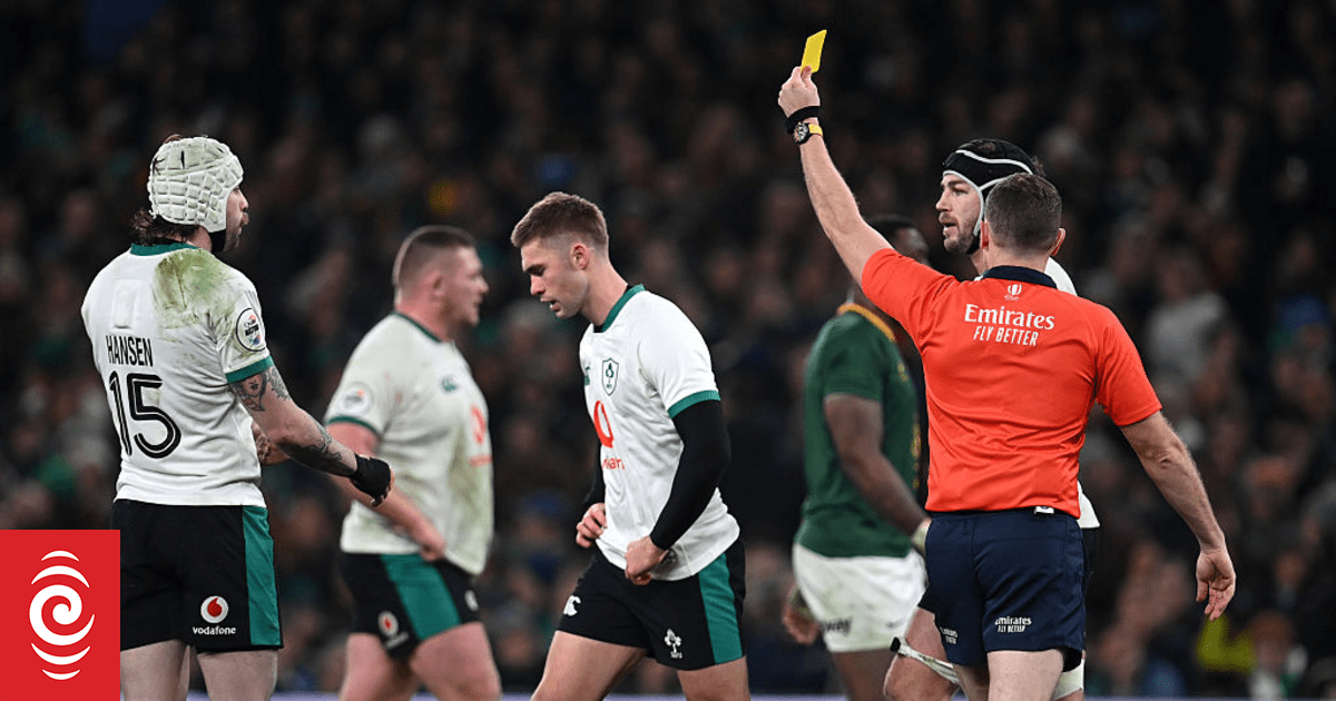 Live updates: Springboks beat Ireland in dramatic Dublin test | RNZ News