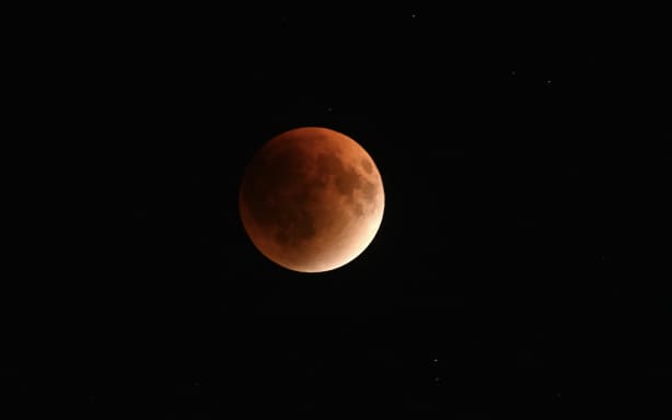 Stargazers wake early for glimpse of blood moon | RNZ