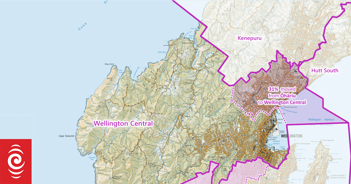 Wellington to lose an electorate as shake-up of local seats proposed ...