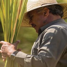 Jim Schuster: saving Aotearoa's marae heritage | RNZ