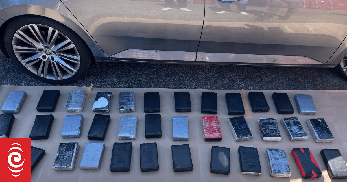 Cocaine bust: 36kg found stashed inside container | RNZ News