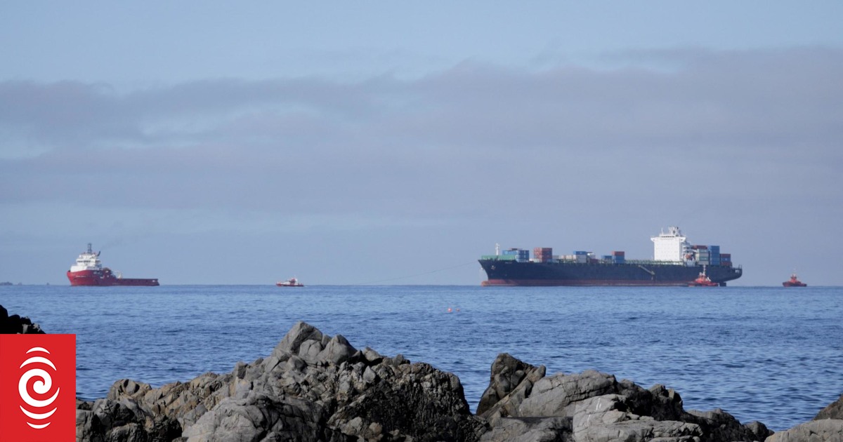 Cargo ship MV Shiling heading into Wellington Harbour | RNZ News