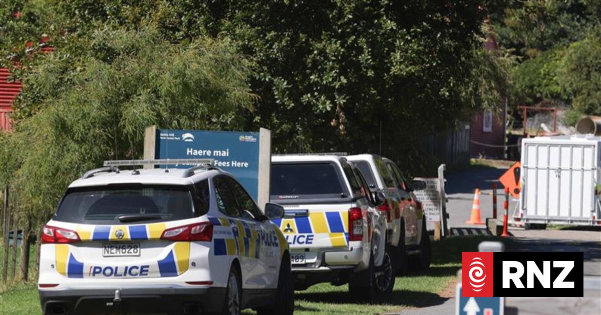 Pilot, passenger dead after helicopter crash in Paekākāriki Hill | RNZ News