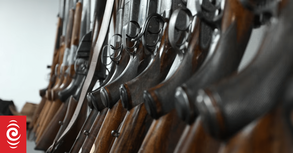 NSW parliament passes tougher laws on guns and protests after Bondi ...