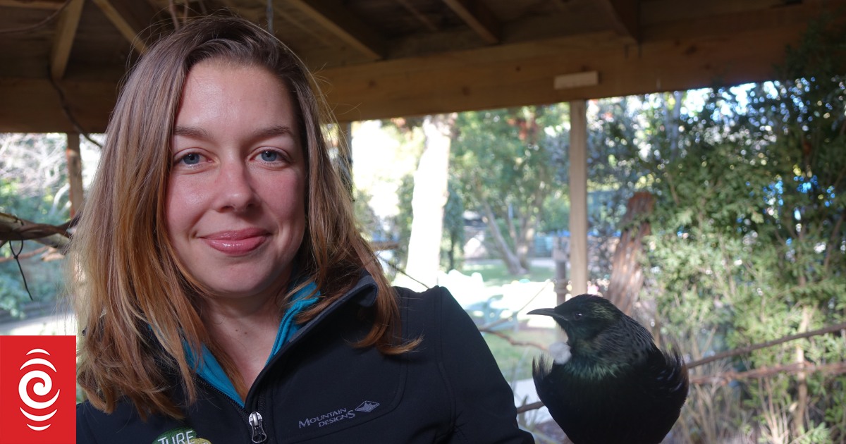 Nelson brings nature to town | RNZ News