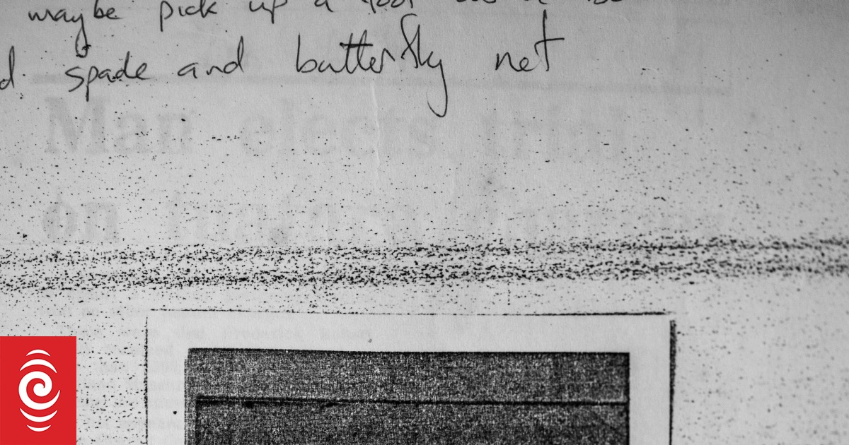 Bird Bandit: the story of Freddie Angell | RNZ