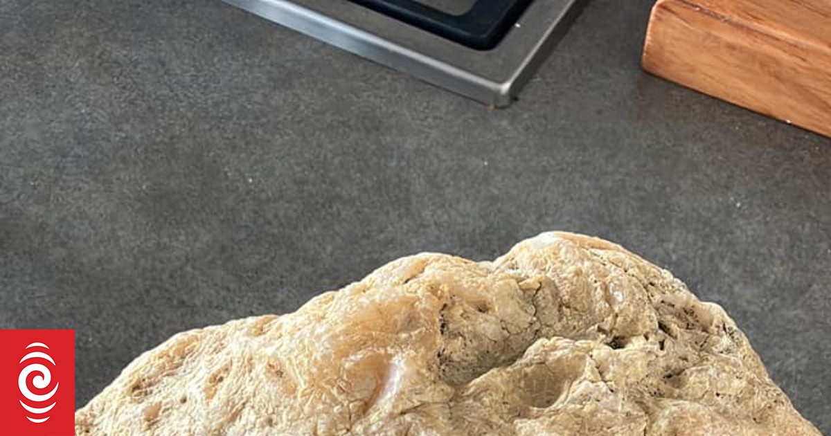 Kids make rare Kauri resin discovery at secret spot in Coromandel | RNZ