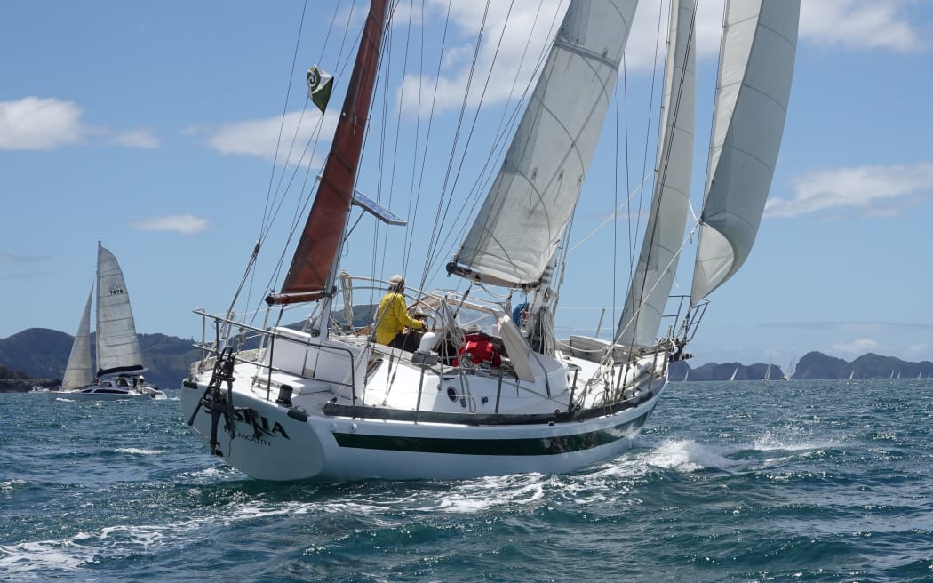 In photos: Tall Ships Regatta in the Bay of Islands | RNZ News