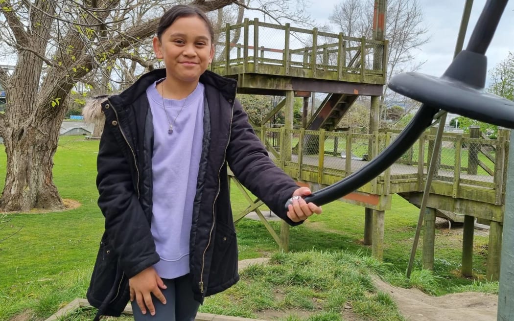 Kowhai Park revamp - Old Mother Hubbard, or just plain old? | RNZ News