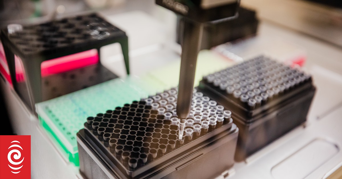 How Covid 19 Genome Sequencing Maps The Spread Of The Virus Rnz