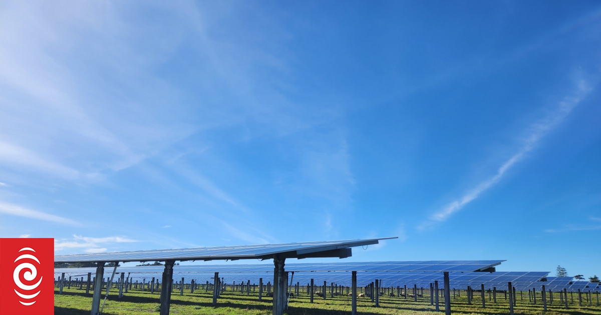 Crown funding for more solar could power 178,000 homes | RNZ News