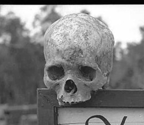 Detecting fake drugs | RNZ