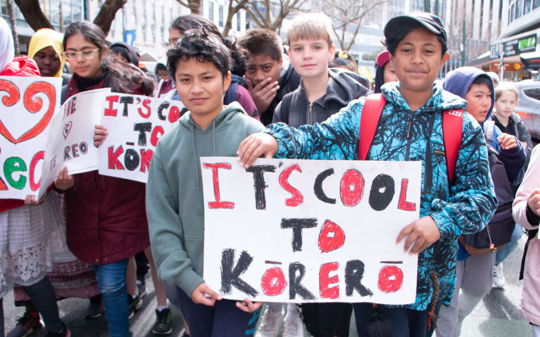 Te reo Māori language at threat of extinction - academics | RNZ News