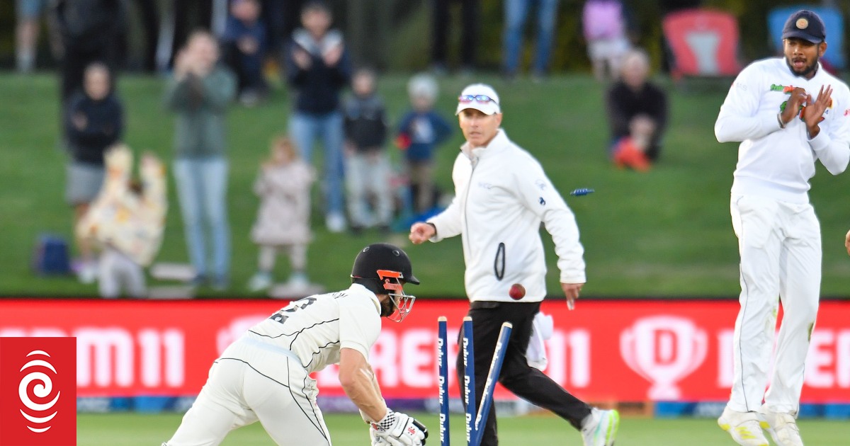 Black Caps continue to get up off the canvas | RNZ News