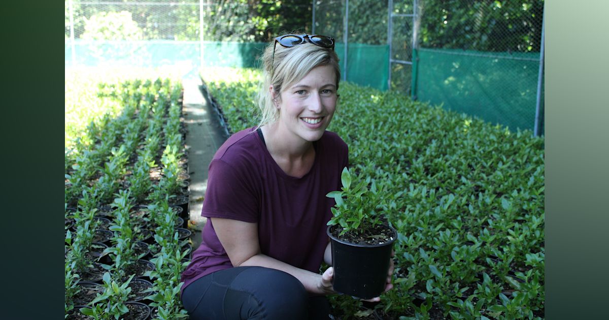 Country Life for Friday 26 November 2021 Country Life | RNZ