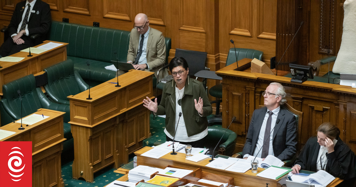 Parliament’s full-steam-ahead Christmas wind-down | RNZ News