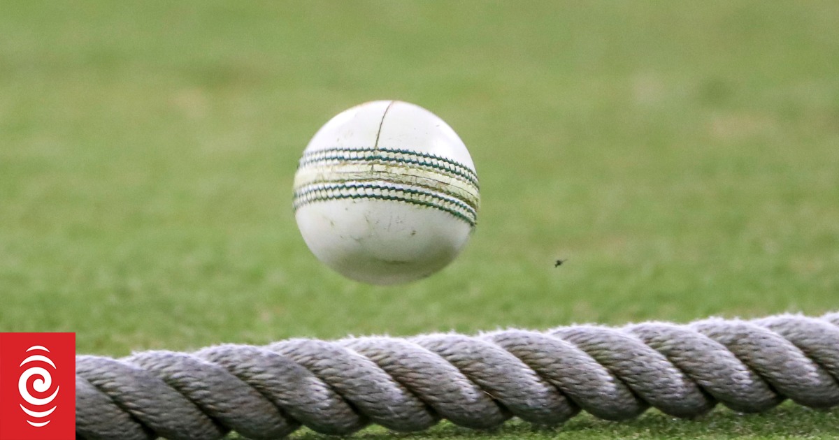 Indonesian off spinner claims best T20 international figures | RNZ News