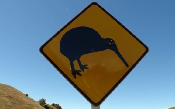 Bird Conservation Projects from Birds on Our Changing World | RNZ