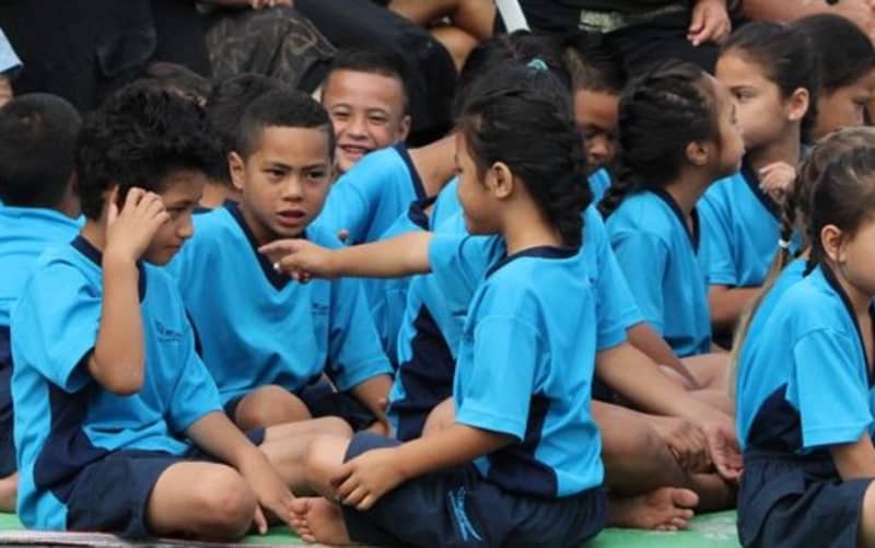 Charter schools vary approach to Maori | RNZ