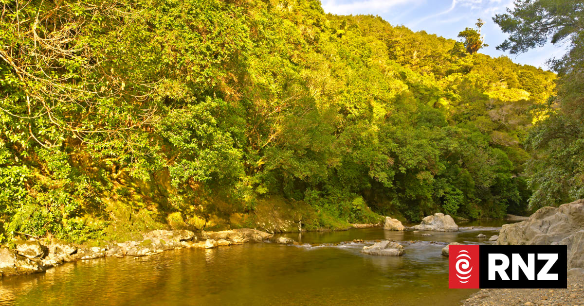 Three dead in separate water incidents | RNZ