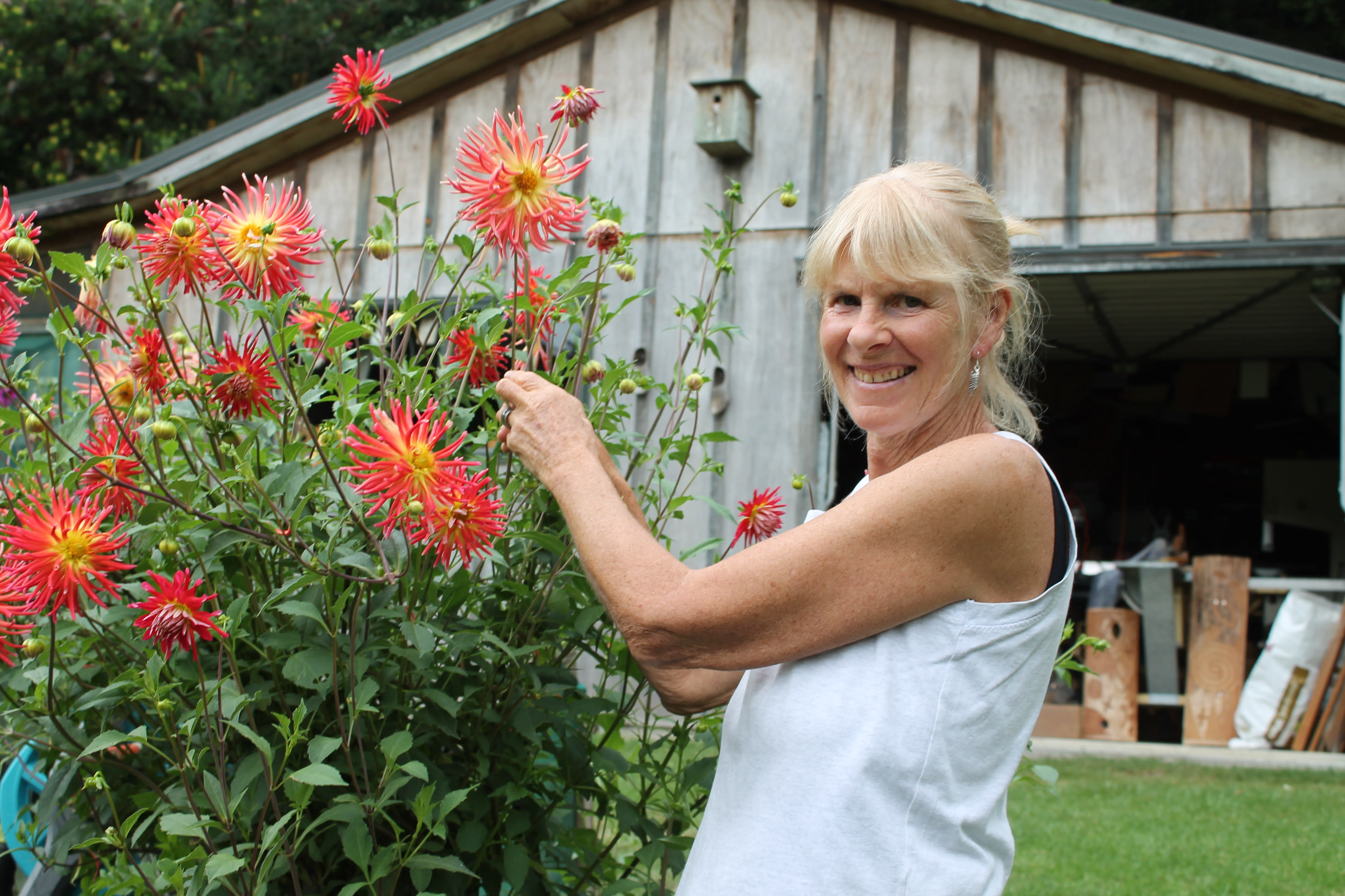 23 Years of Country Life - farewell to Carol Stiles | RNZ