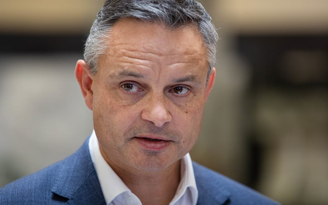 Green co-leader James Shaw came 'very close' to resigning as minister ...