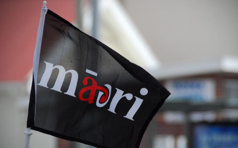 Possibility of Māori-Mana merger | RNZ
