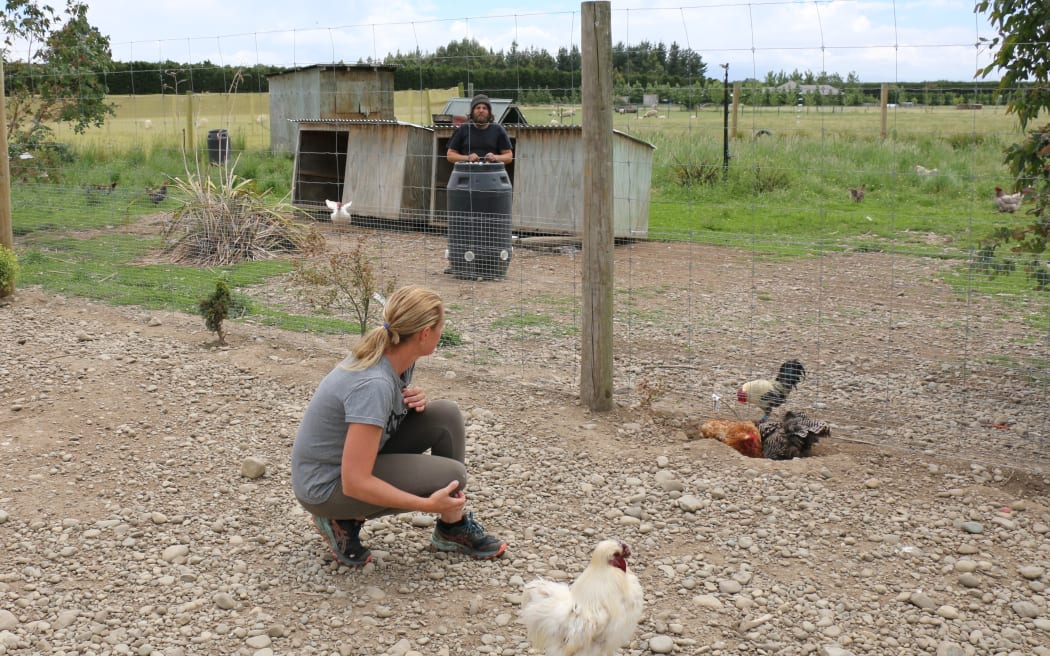 Chook rescuers seek happy homes for hens | RNZ