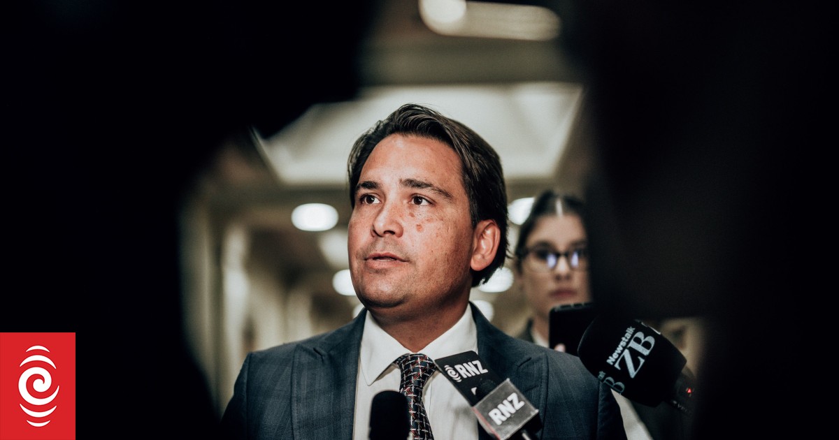 Simon Bridges talks to media | RNZ
