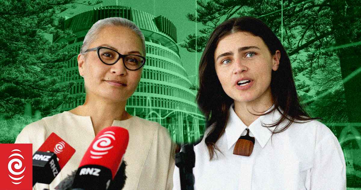 Greens promise free doctor visits, childcare but new taxes, higher ...